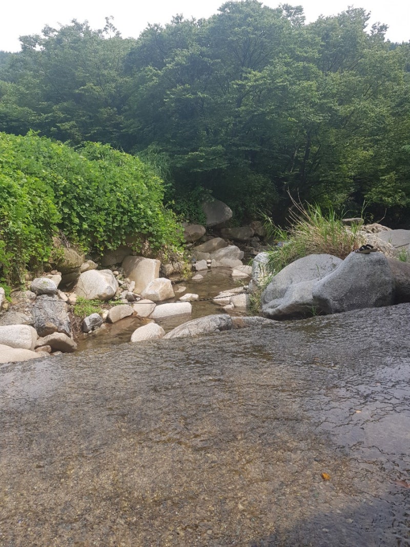 진해 성흥사 계곡대장동 계곡통나무가든 토종닭백숙물에발담그고온날 스카이부동산 네이버 블로그