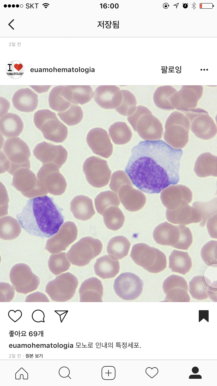 wbc diffcount 도감(출처:인스타그램 : 네이버 블로그