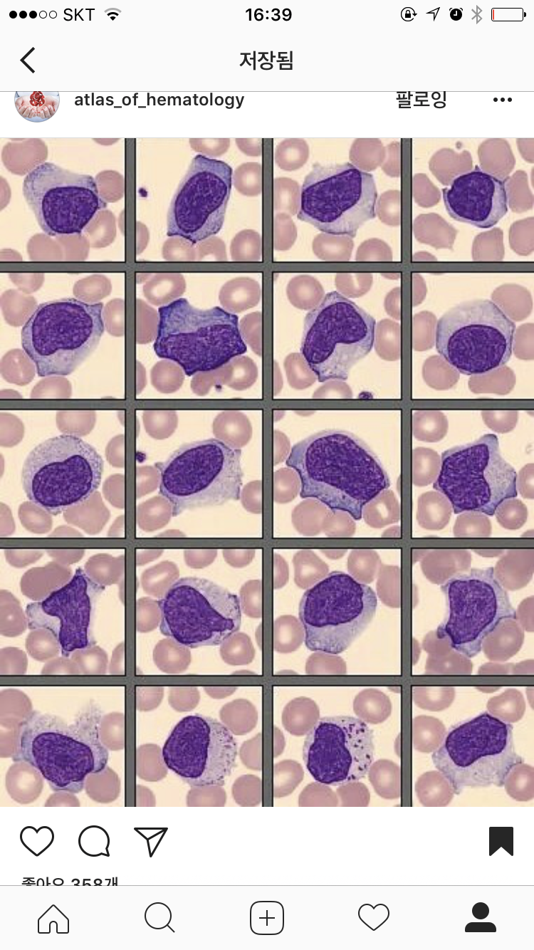 wbc diffcount 도감(출처:인스타그램 : 네이버 블로그