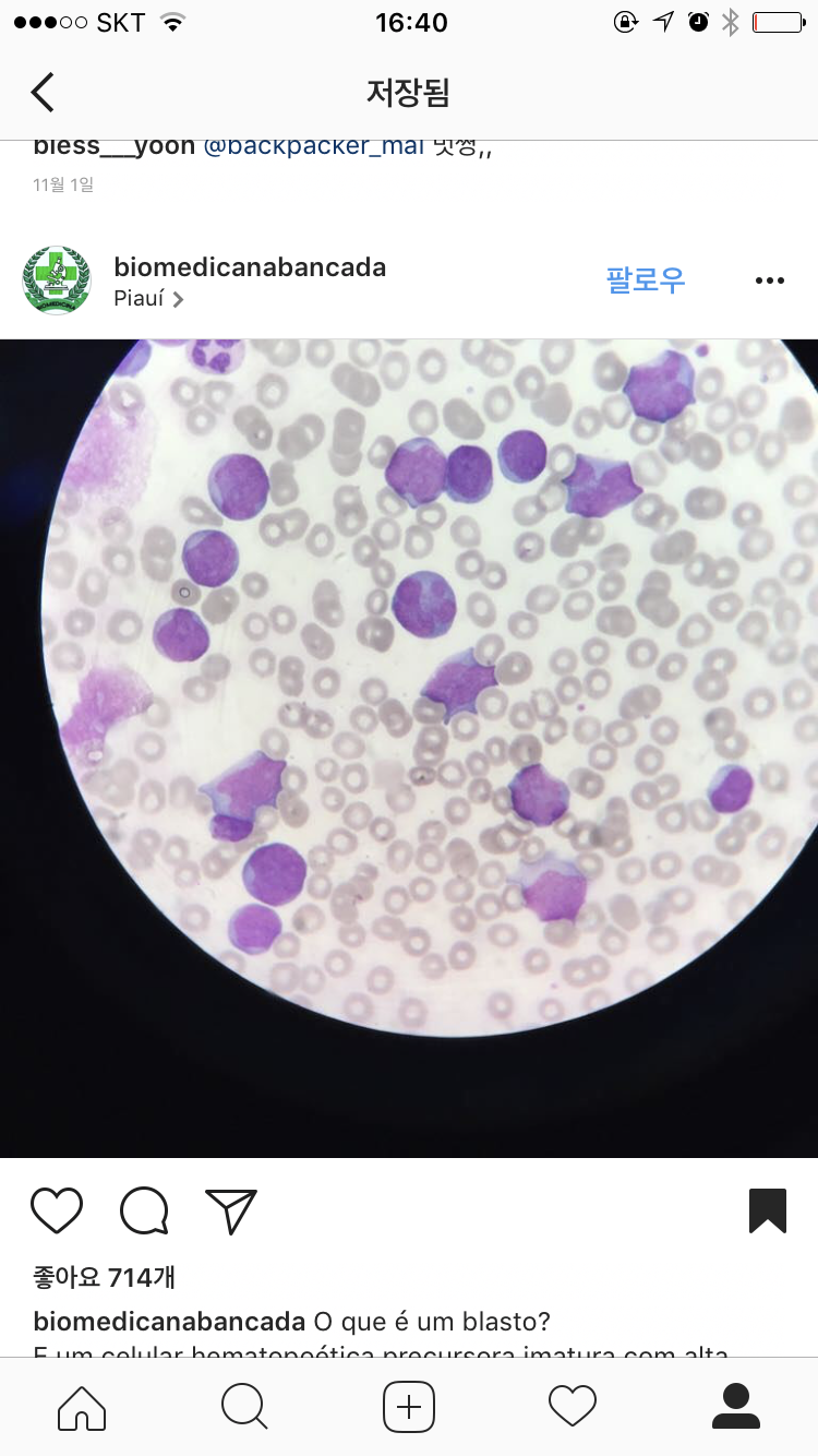 wbc diffcount 도감(출처:인스타그램 : 네이버 블로그