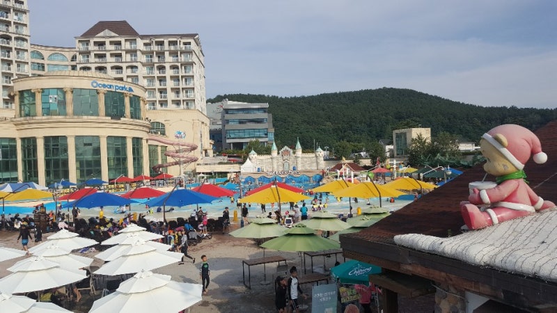 천안오션파크 테딘워터파크 이용안내 및 이용기 대명리조트 천안워터파크 네이버 블로그