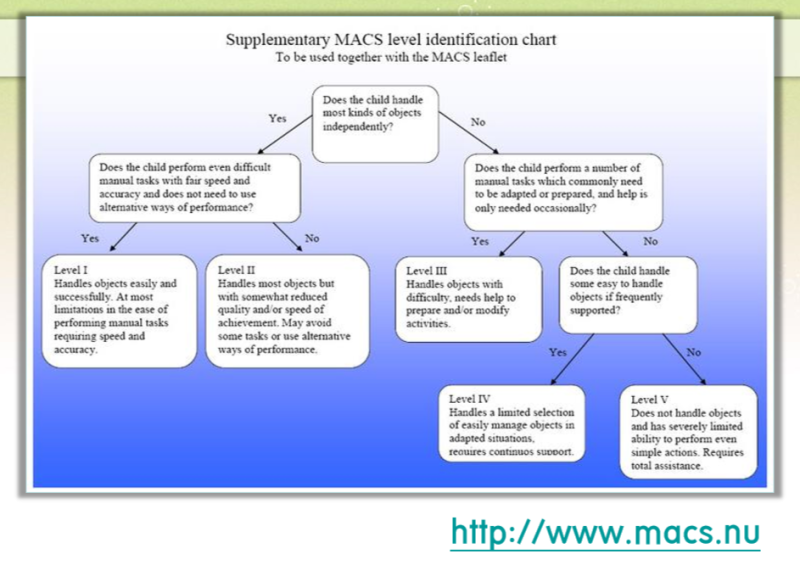Manual Ability Classification System (MACS) : 네이버 블로그