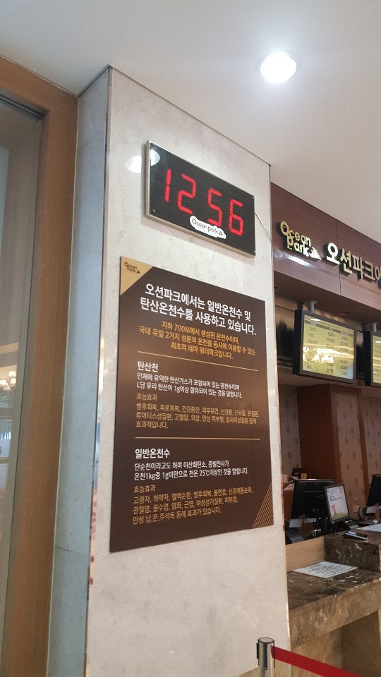 천안오션파크 테딘워터파크 이용안내 및 이용기 대명리조트 천안워터파크 네이버 블로그