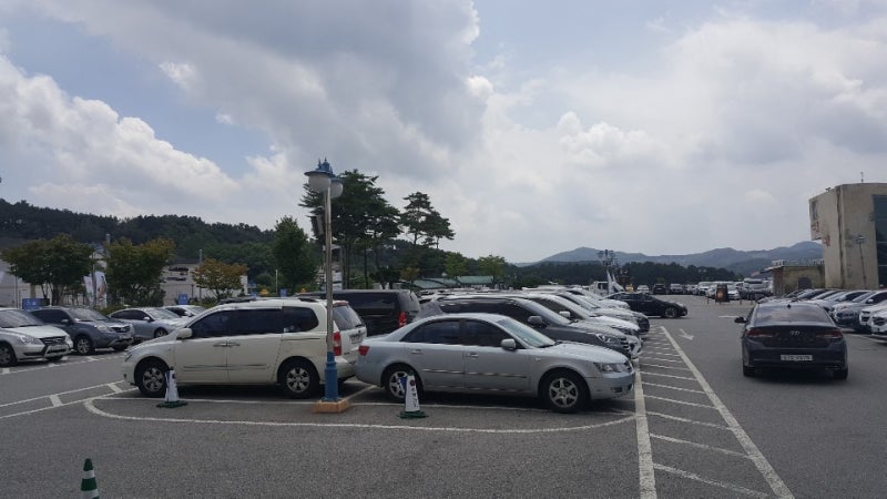 천안오션파크 테딘워터파크 이용안내 및 이용기 대명리조트 천안워터파크 네이버 블로그