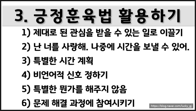 학급긍정훈육법pdc강의 서울교육연수원 직무연수 Pdc 심화연수 어긋난 목표 지나친 관심끌기 아들러심리학 교사연수