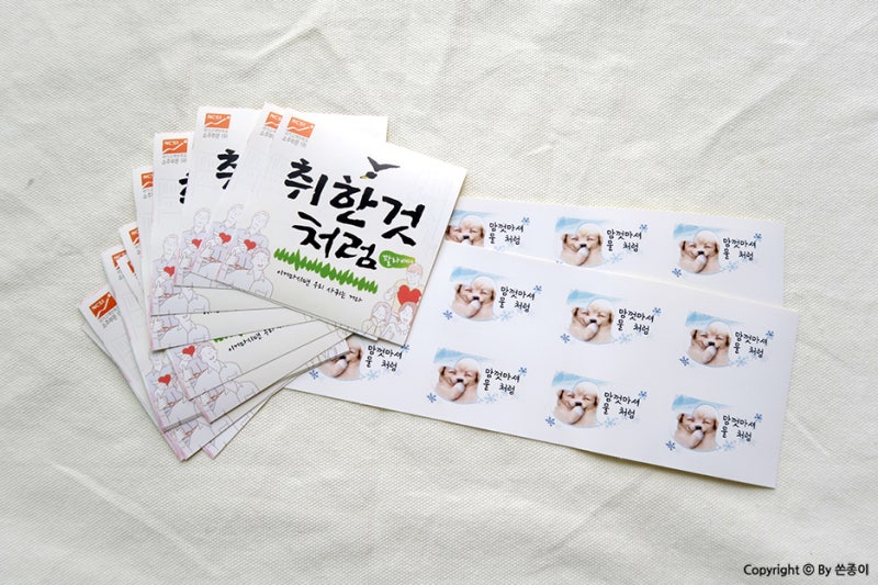 처음처럼 마이라벨 소주 스티커 만들기 네이버 블로그