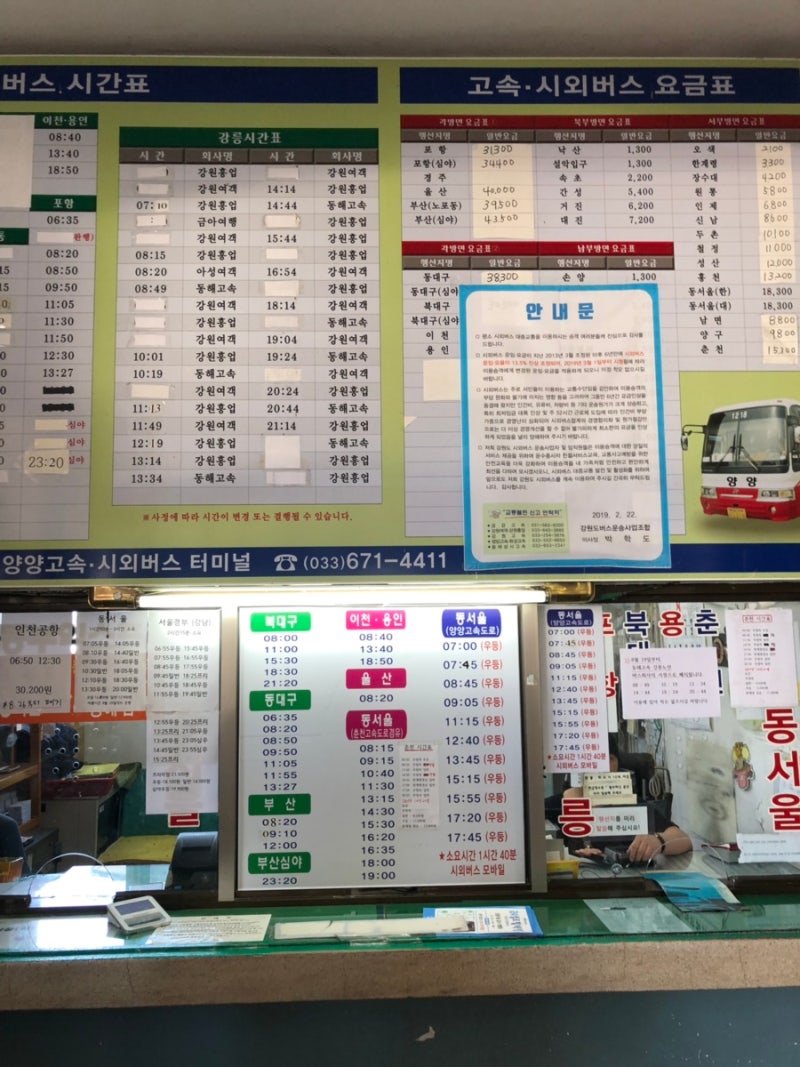 서울에서 강원도 양양 가는 법 고속버스타고 강원도 가기 고속버스 모바일앱을 통한 고속버스 예매 방법 And 우등고속버스 후기