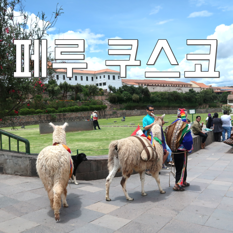 페루 쿠스코에서 꼭 먹어봐야 할 먹거리 네이버 블로그