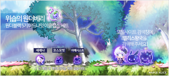 메이플 위습의 원더베리 메이플스토리 펫 원더블랙 5기 미드나잇 이클립스 세트 세레나 코스모빗 아메시스트