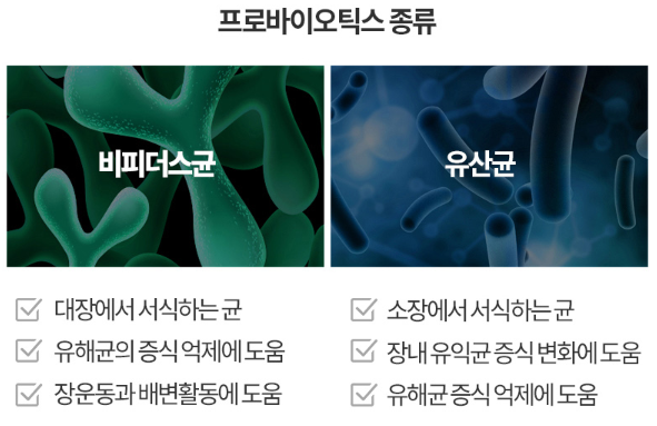하루 한포 간단하게 장 건강을 지키는 성인 추천 전지현 유산균 뉴트리원 심리스 프로바이오틱스 효능 네이버 블로그
