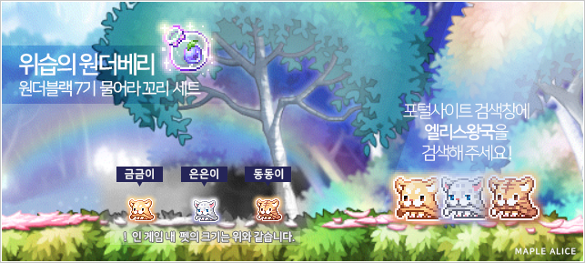 메이플 위습의 원더베리 메이플스토리 루나펫 원더블랙 7기 물어라 꼬리 세트 금금이 은은이 동동이루나스윗펫