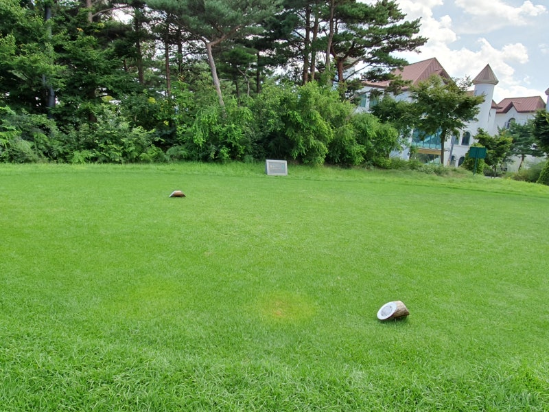 파인리즈cc 1박2일 속초골프장 네이버 블로그