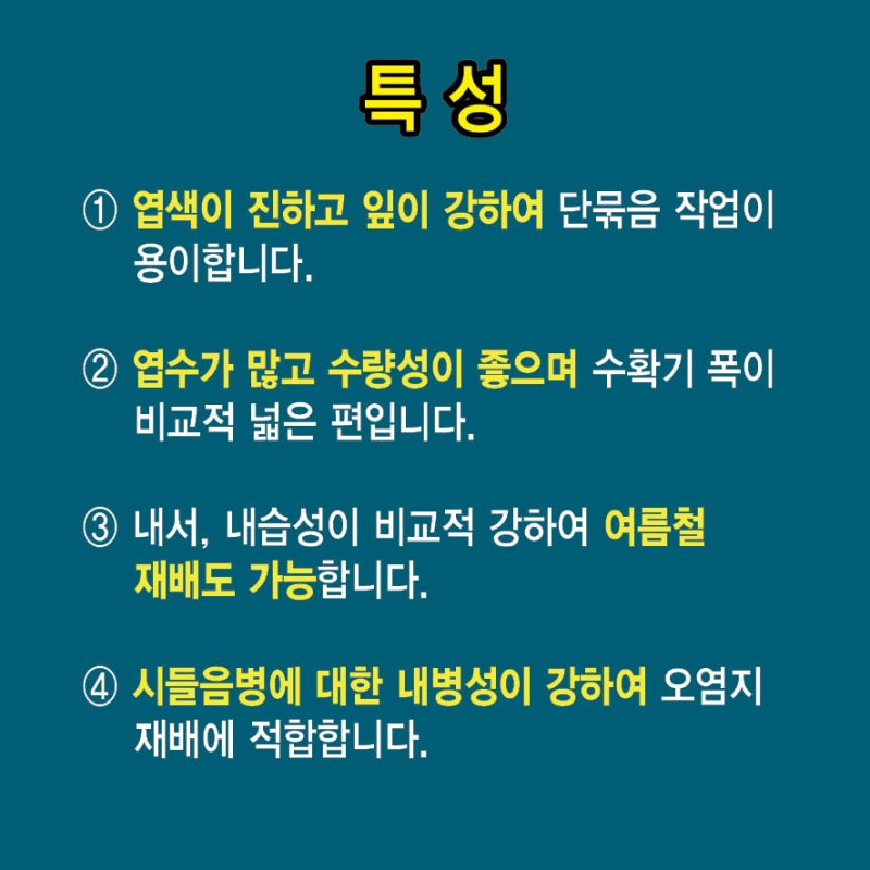 [농우바이오] 신품종 YR강인한 열무 : 네이버 블로그