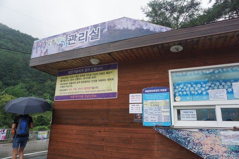 강원도 삼척 덕풍계곡 제2야영장 2박 3일간 캠핑 후기 네이버 블로그