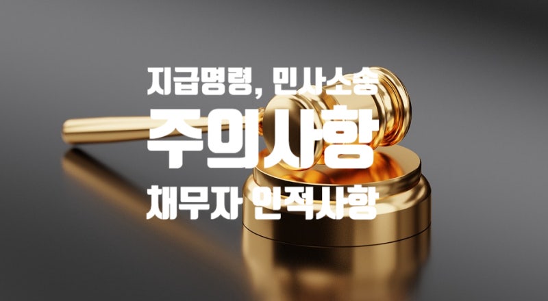 나홀로 민사소송 Part 4 지급명령 민사소송시 주의할 점 채무자 동일성 확보를 위한 사실조회신청 채무자 주소 주민