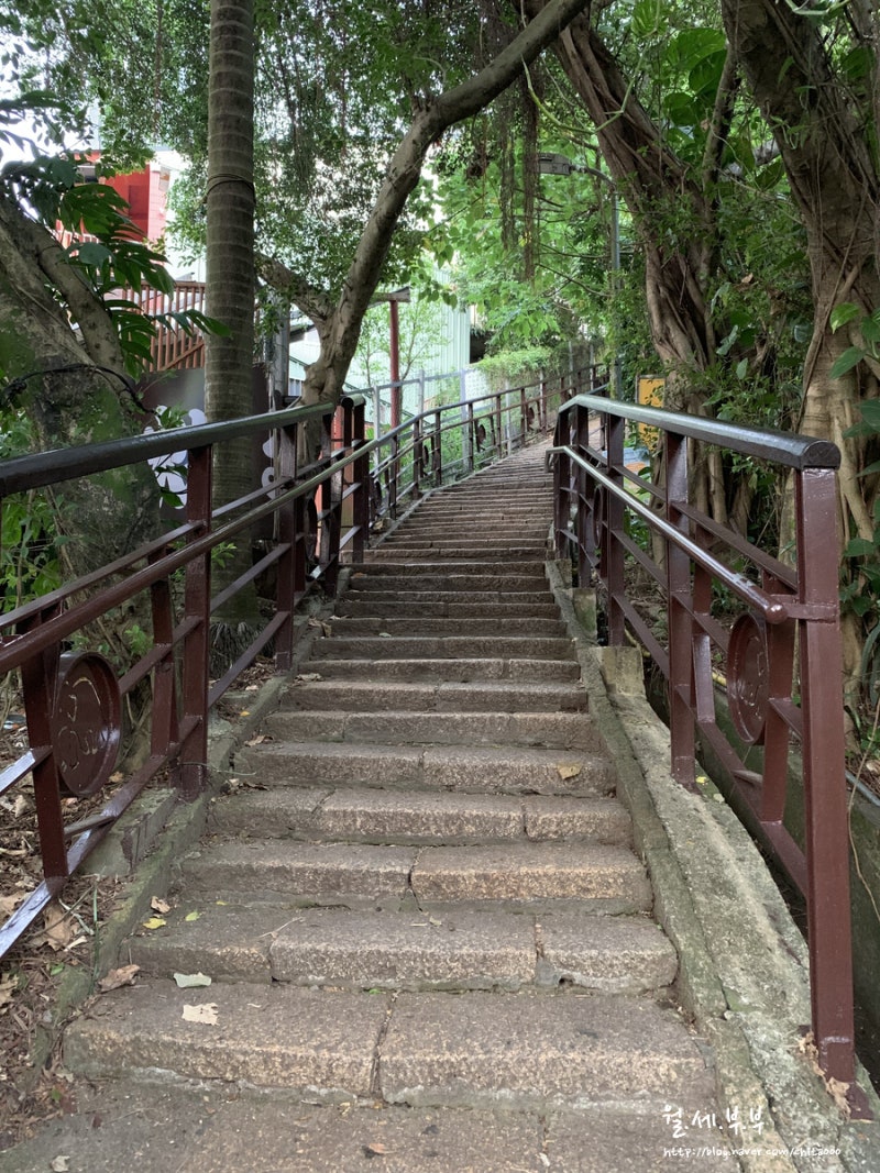 대만 타이베이 여행 샹산 전망대 타이베이 최고의 야경 명소 지름길 아니어도 괜찮아요 네이버 블로그