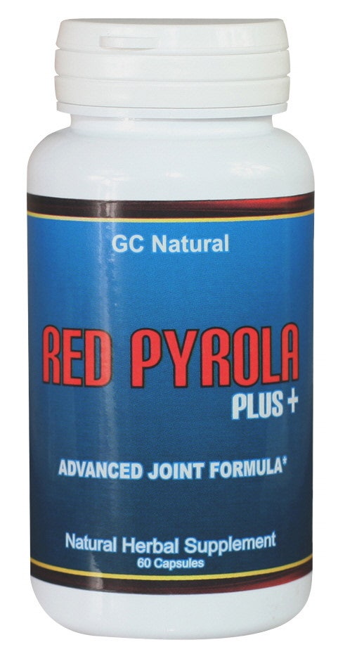 허리디스크 협착증 관절건강에는 홍화 페로라! : 네이버 블로그