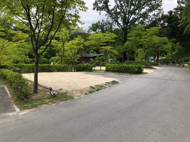 나만알고싶은 캠핑장 초안산캠핑장 서울도심속 캠핑장 낭만과 풀숲의 캠핑장 네이버 블로그