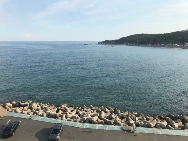 경주 펜션 추천 감포해수욕장 늘시원펜텔수영장 있는 숙소 네이버 블로그