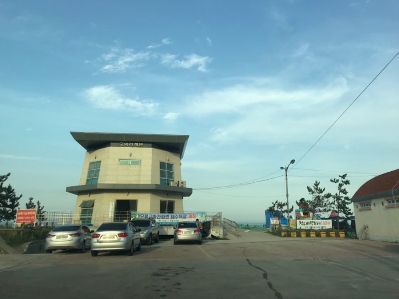 경주 펜션 추천 감포해수욕장 늘시원펜텔수영장 있는 숙소 네이버 블로그