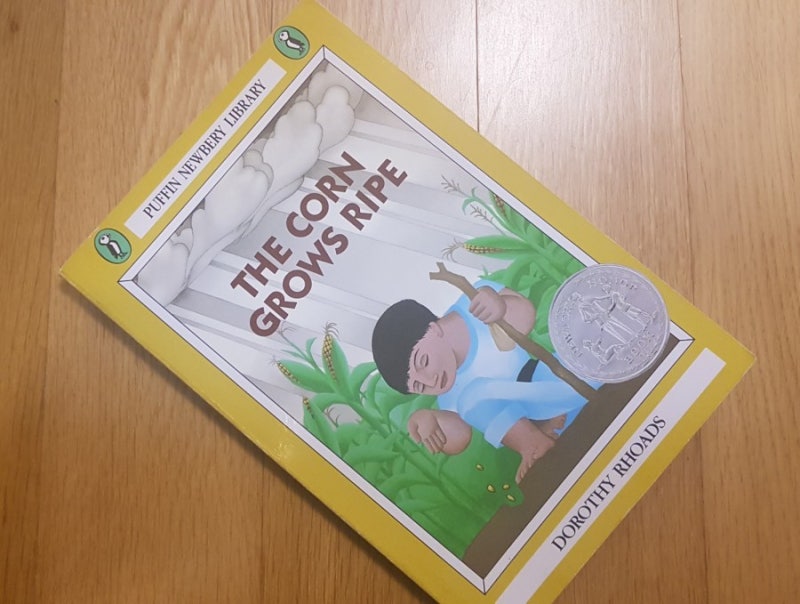 마야 소년의 성장담, 《The Corn Grows Ripe (옥수수가 익어가요)》 by Dorothy Rhoads : 네이버 블로그