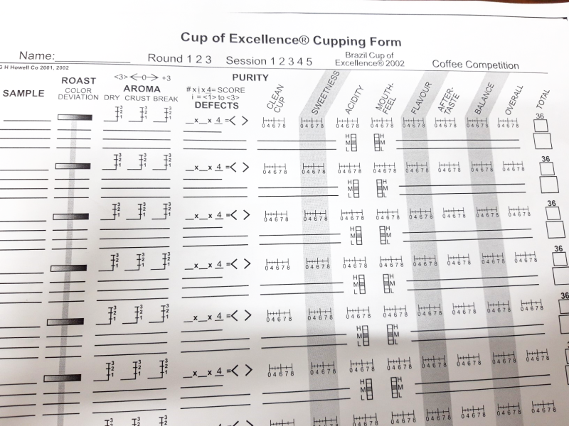 SCA 와 COE Chart form - 커핑 기초 (form) : 네이버 블로그
