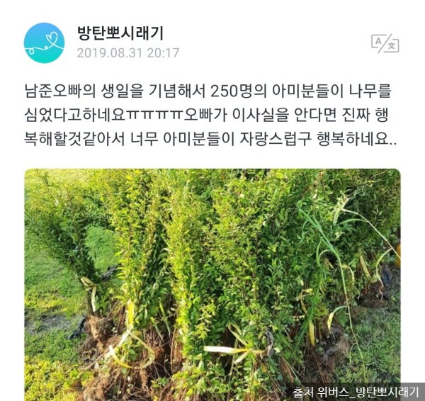 [한강 숲 조성] BTS RM의 26번째 생일을 축하하는 아미들의 특별한 선물♥ / RM숲 RM FOREST : 네이버 블로그
