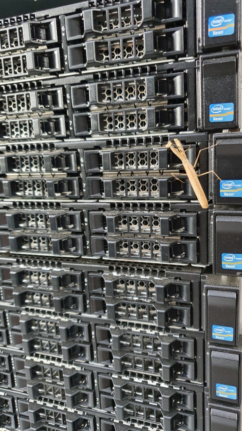 HP DL380 G8 24Bay Test , RAID Performance Calculator 레이드 io 계산기 : 네이버 블로그