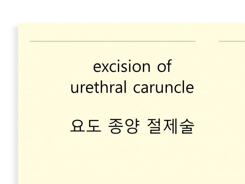 excision of urethral caruncle 요도 종양 절제술 : 네이버 블로그