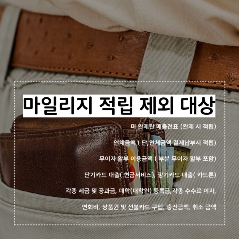 대한항공) / ROVL 다이아몬드(토탈마일) /ROVL 시그니처(대한항공) / ROVL 시그니처(토탈마일) 발급혜택 발급기준 ...
