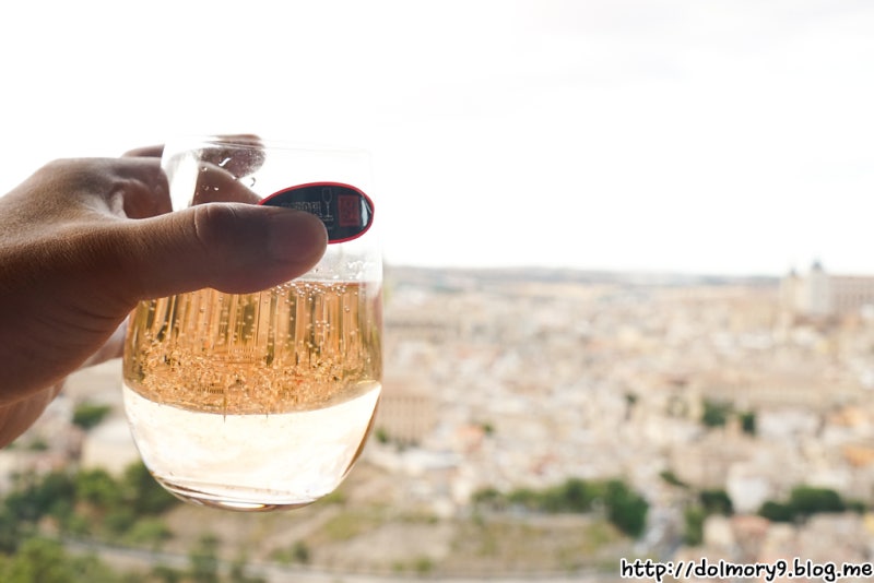 프레시넷 이탈리안 로제 스파클링 와인 엑스트라 세코 Freixenet Italian Rose Sparkling Wine ...