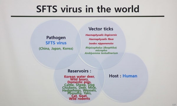 중증열성혈소판감소증후군(SFTS) 역학, 증상, 진단검사 : 네이버 블로그