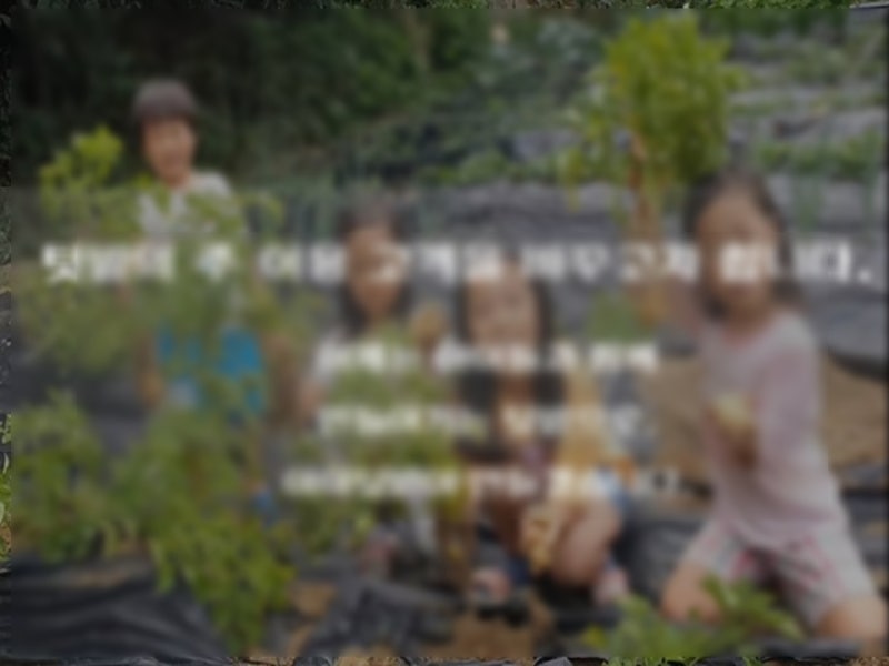 정부지원금 창업 사업계획서 Ppt 제작 대행 샘플 예시 모바일 플랫폼 네이버 블로그