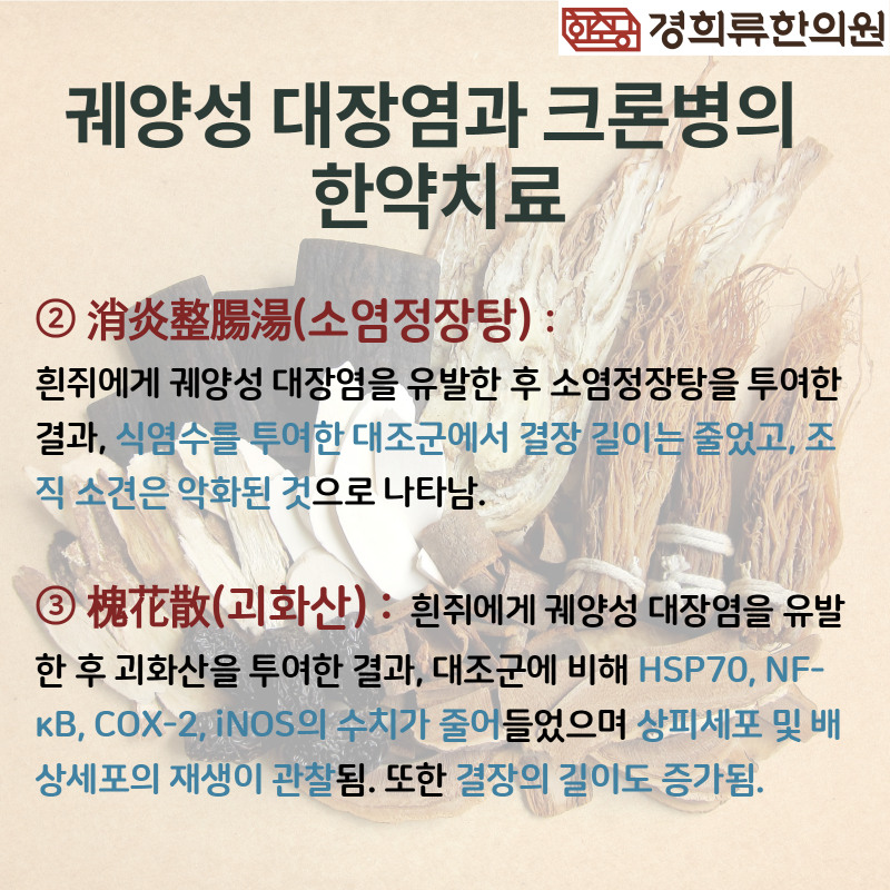 궤양성대장염 명의 용산 궤양성 대장염 한의원용산 크론병 한의원 치료로 면역력을 높이고 장을 안정시키세요 경희류한의원