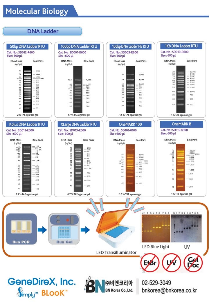 [GeneDireX] DNA Ladder : 네이버 블로그