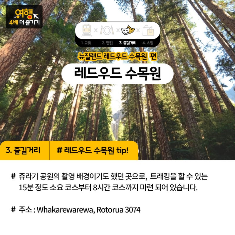 뉴질랜드 레드우드 수목원 여행 4배 더 즐기기 종합편 네이버 블로그