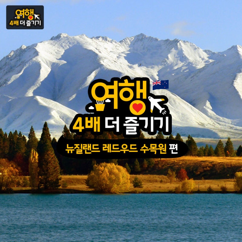 뉴질랜드 레드우드 수목원 여행 4배 더 즐기기 종합편 네이버 블로그