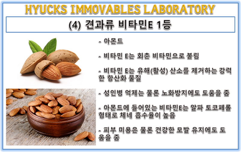 견과류 호두 마카다미아 피스타치오 피칸 아몬드 효능 네이버 블로그