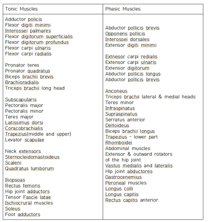 안정성이란?) 보바스와 안정성 (stability)...3/ : 네이버 블로그