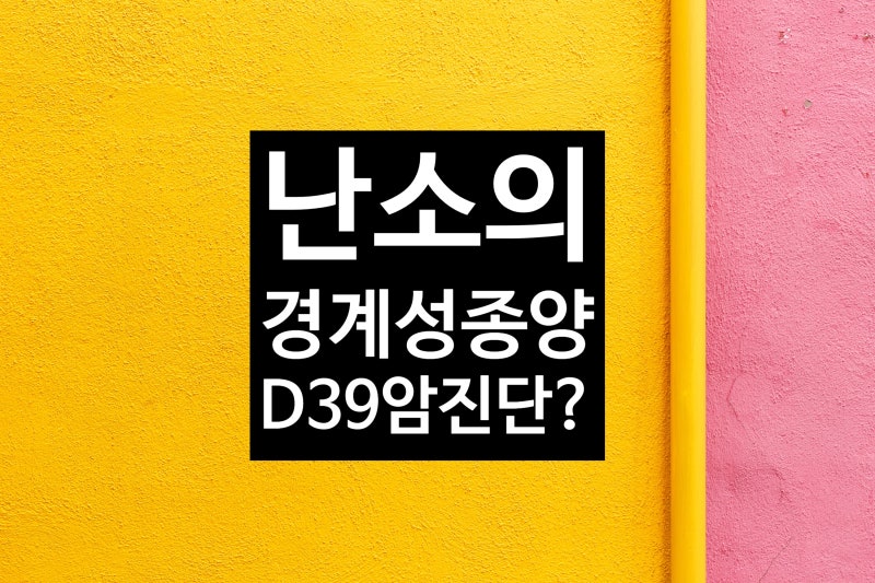 D3919난소의 행동양식 불명 및 미상의 신생물경계성종양로 진단된 경우도 암진단비 검토대상이다 네이버 블로그