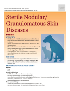 Sterile pyogranuloma/granuloma syndrome(SPGS) : 네이버 블로그