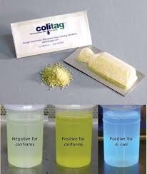 [NEOGEN]-Colitag / Colitag 대장균 검출 키트 / 먹는물수질공정시험방법 제4법 효소발색법으로 총대장균군 ...