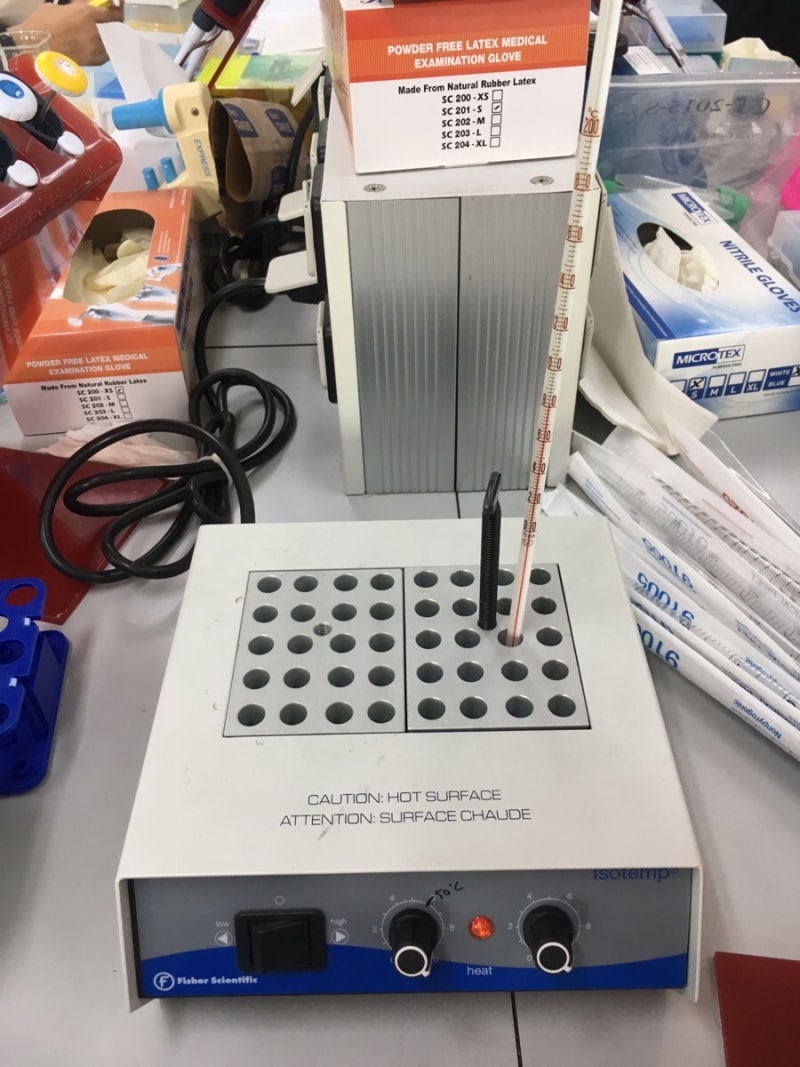 [대학교 생화학실험] IPTG 유도(IPTG induction, Protein induction)/SDS-PAGE/쿠마씨 블루 ...