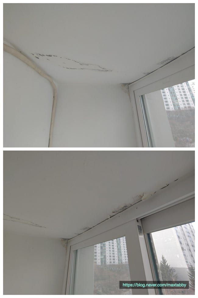 페인트칠 공사 안양 평촌 산본 페인트칠 시공 평촌 초원 한양 아파트 베란다 페인트칠 공사 네이버 블로그