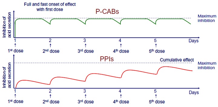 새로운 위산 분비 억제제, P-CAB 등 : 네이버 블로그