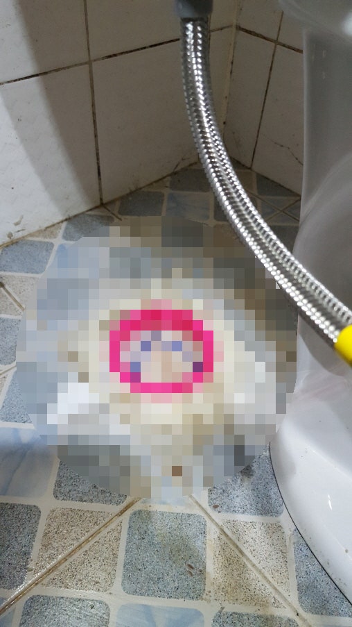 양천구 신정동 양변기 기포역류증상변기물역류 역류방지장치설치 김포시 장기동 욕조배수구누수문제로 점검욕조바닥 틈 누수