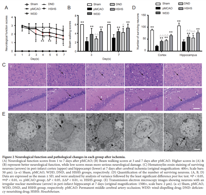 [뇌졸중/한약] 허혈성 뇌손상 후 후씨흑산(侯氏黑散)의 회복 촉진효과: Nogo-A/RhoA/Rock2 및 Netrin-1 ...