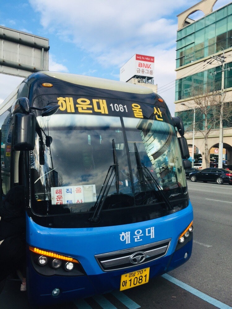 울산 공업탑에서 부산 해운대 직통 시외버스 터미널 정류소 시간표feat 해운대에서 울산언양방어진김해장유양산대구