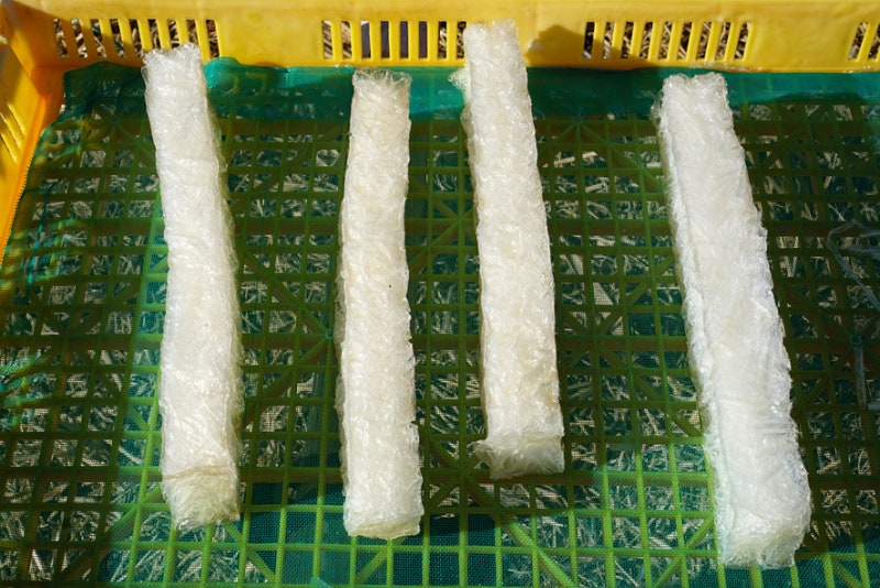 겨울철 이색 볼거리 먹거리 체험 장소 밀양한천 테마파크 밀양 가볼만한곳 네이버 블로그