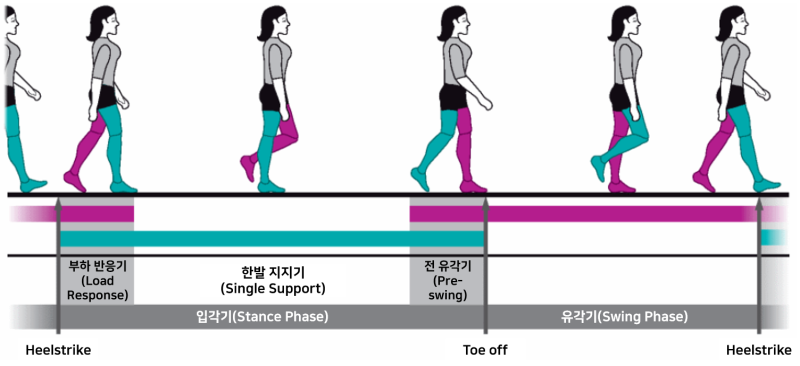 Gait Cycle(보행주기) : 네이버 블로그